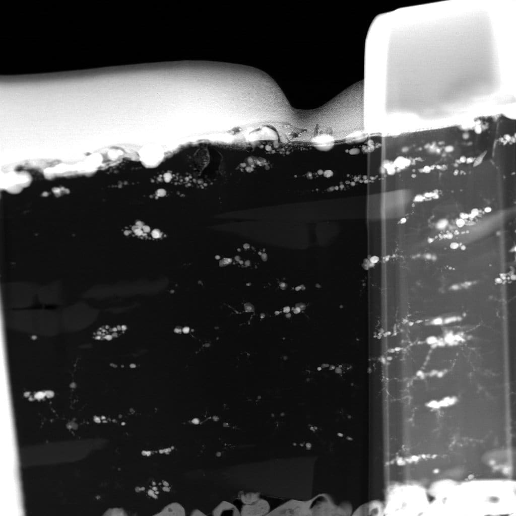 FEI Tecnai G2 F20 STEM - Regen Microscopy