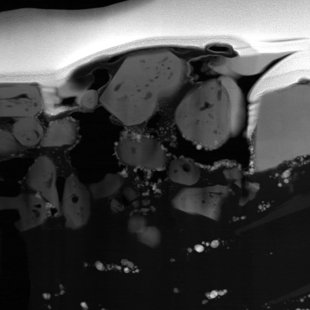 FEI Tecnai G2 F20 STEM - Regen Microscopy