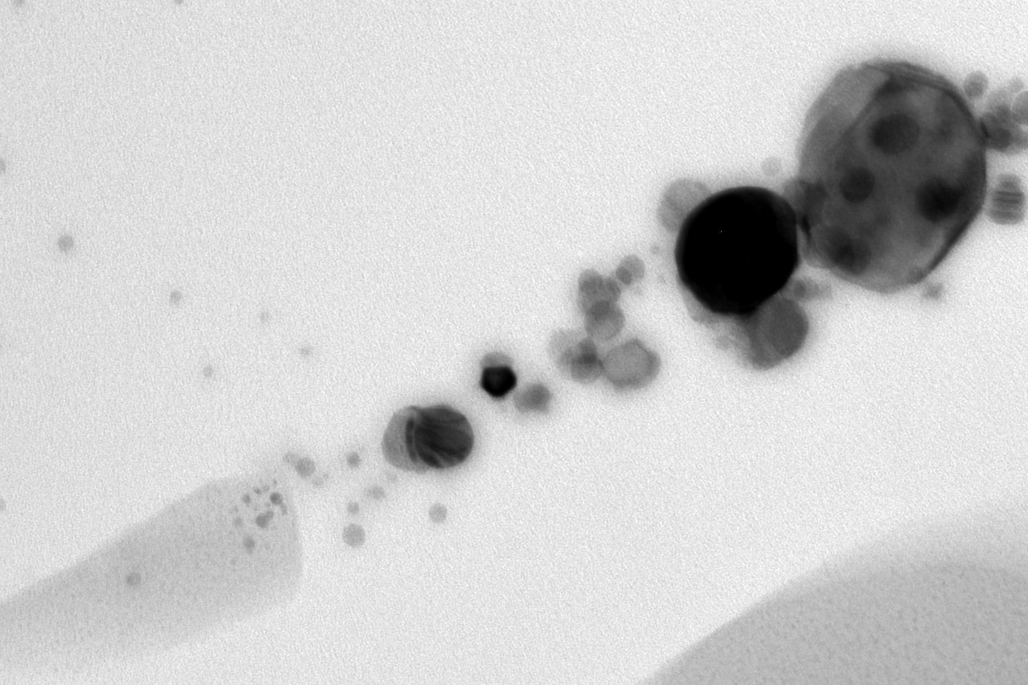 FEI Tecnai G2 F20 STEM - Regen Microscopy