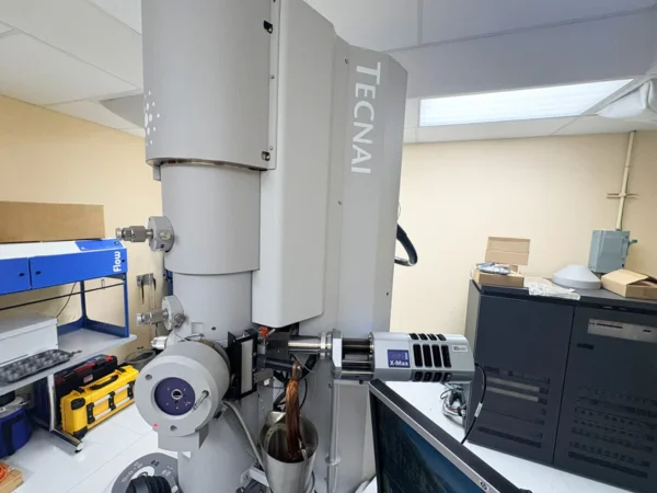 FEI Tecnai G2 F20 + EELS + EDS + GIF - Regen Microscopy